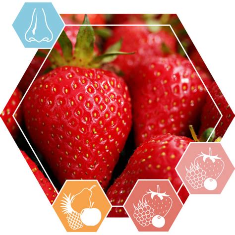 Aldehyde C16 Strawberry Online Kopen Bij Hekserij