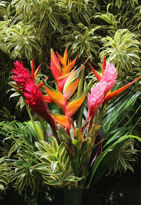 Exotic Bouquet Tropical Flowers And Bouquets Of Hawaii