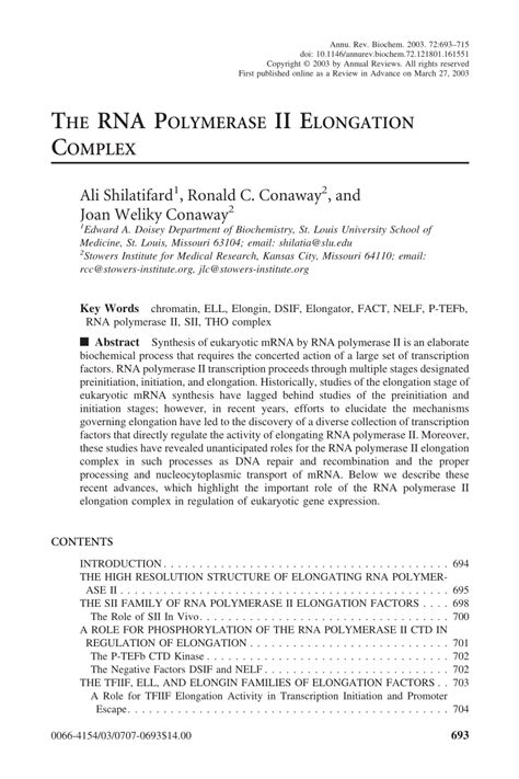 Pdf The Rna Polymerase Ii Elongation Complex