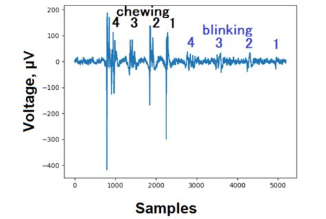 How Become A Neuroscientist With PiEEG PIEEG