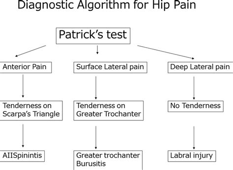 Flowchart Of Diagnosis Based On The Pain Site Of Patricks Test