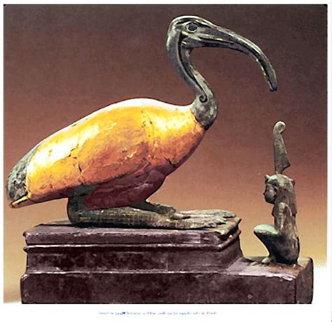 Goose In Ancient Egypt Ibis Egyptian God Ibis Bird Egypt Ancient