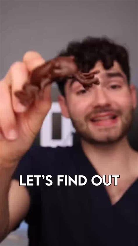 Lets Find Out If Harry Potter Snacks Will Give You Cavities Fatglob By Alex