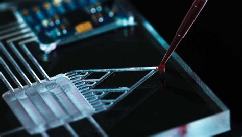 Microfluidics Systems For Long Term Cell Culture