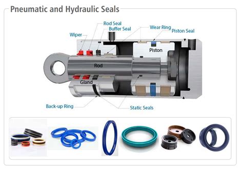 Types Of Hydraulic Pressure Seals At Stephen Bobo Blog