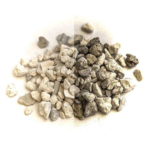 Lime Mudstone Rock