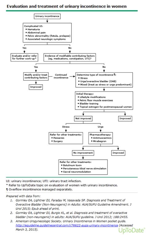 Urinary Incontinence Evaluation And Treatment Flow Chart