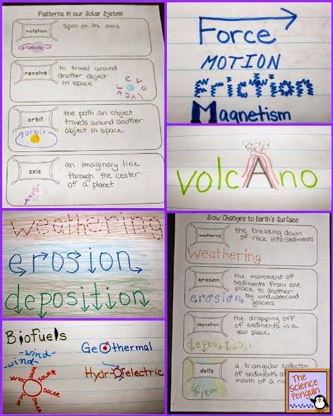 Evolution Activities Bundle Artofit