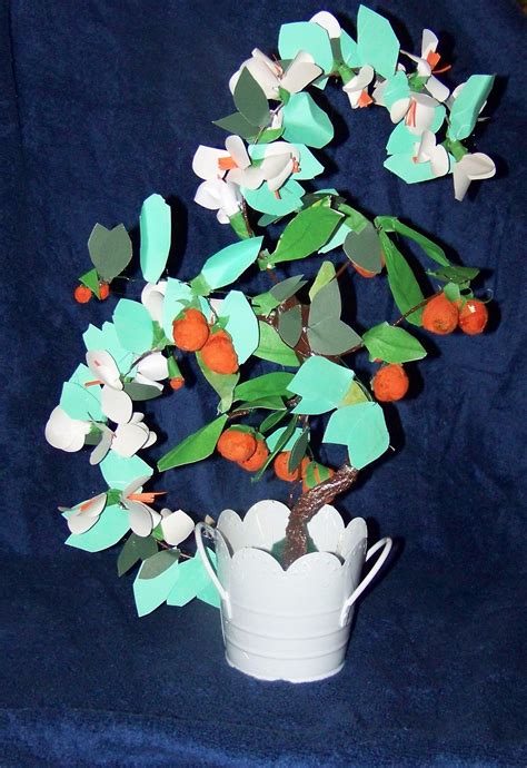 Mini Orange Bonzai Miniature Trees Bonsai Bonsai Tree