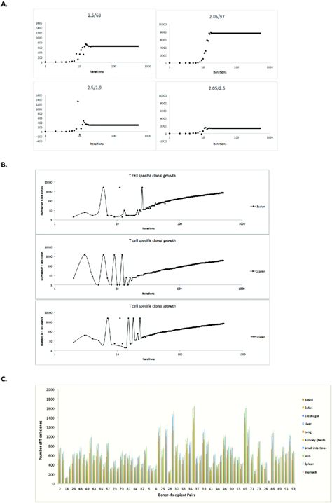 T Cell Clonal Growth In Sct Simulations A Individual T Cell Clone