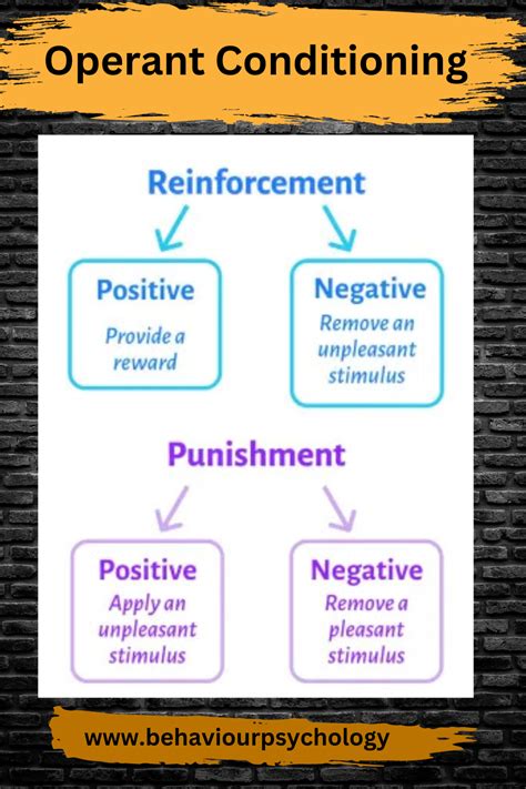 Differences Between Classical Vs Operant Conditioning