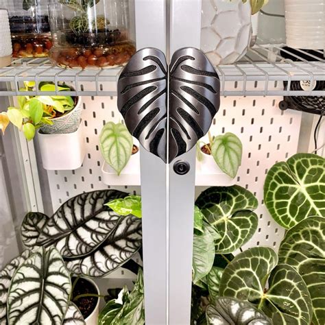 Monstera Leaf Brass Knobs And Pullsturtle Leaf Drawer Handlescustom Engraved Cabinet Pulls