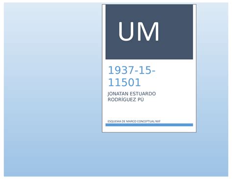 Esquema Marco Conceptual Niif Informe Esquema De Marco Conceptual
