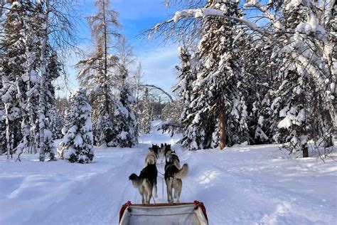 Yellowknife Is The Northern Lights Capital Of North America — How To Visit