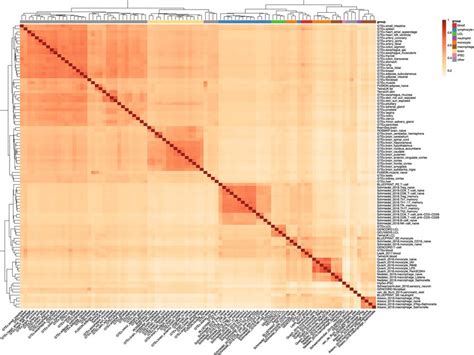 Pairwise Eqtl Similarity Between 95 Datasets Estimated With Spearman