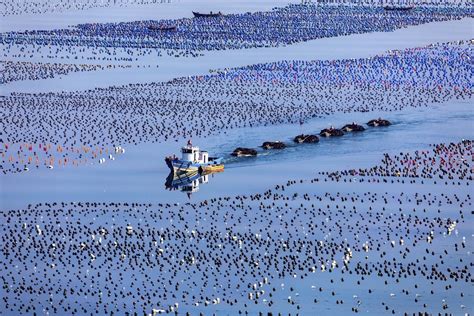 杨乐慈作品 图集 影像中国网 中国摄影家协会主办