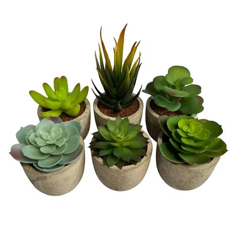 Oypla 6x Artificial Succulents Shop Online Today