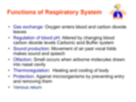 SOLUTION: Respiration mechanism 1 - Studypool