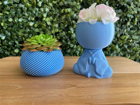 Kit Vaso Buda Boleado Mini Só Decoração