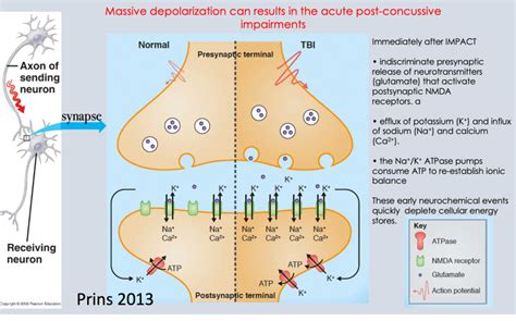 History Of Birc Research Neurosurgery Ucla Health