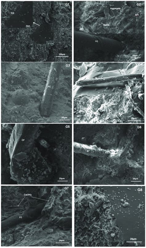 Electron Microscope Pictures Of 8 Groups Of Concrete Electron Download Scientific Diagram