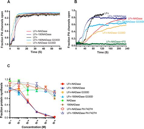 Anthrax Toxin Mediated Translocation Of Nadase A Kinetics Of