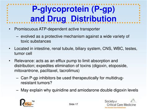 Ppt Program Information Powerpoint Presentation Free Download Id 3359036