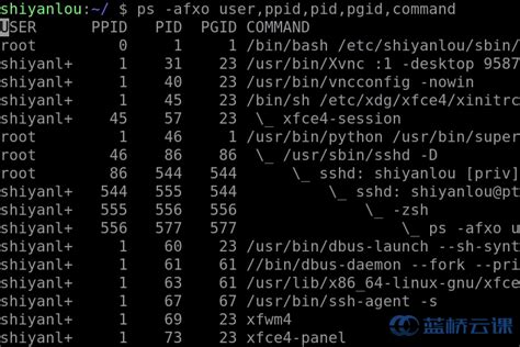 Linux 进程管理 蓝桥云课