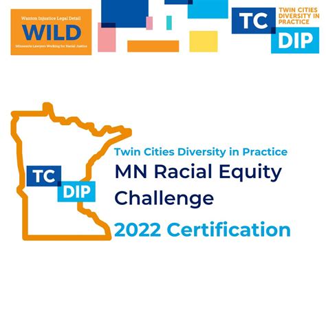 Alison Plavin On Linkedin Very Proud To Have Earned The 2023 Minnesota Racial Equity Challenge