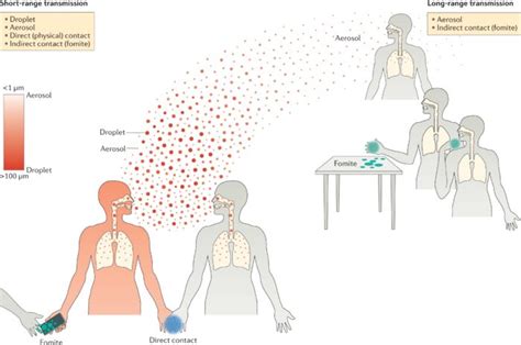 A Comprehensive Guide To Respiratory Pathogen Detection Panel