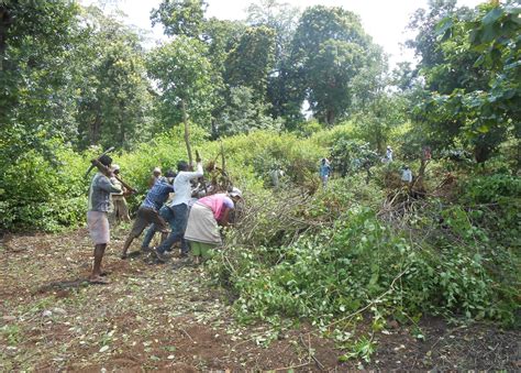 Restoration And Enhanced Governance Of Commons Through Community Based