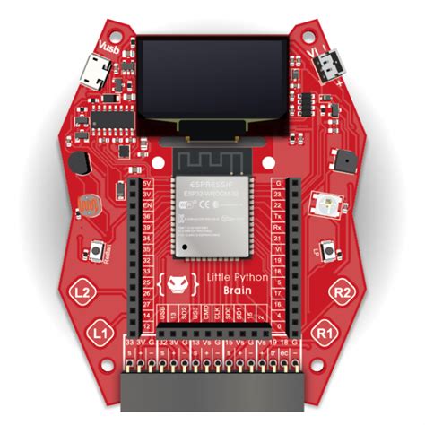 Your First Code Little Creo