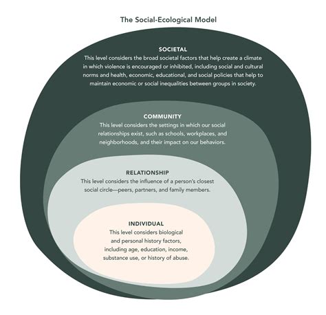 Social Ecological Model Individual Levels