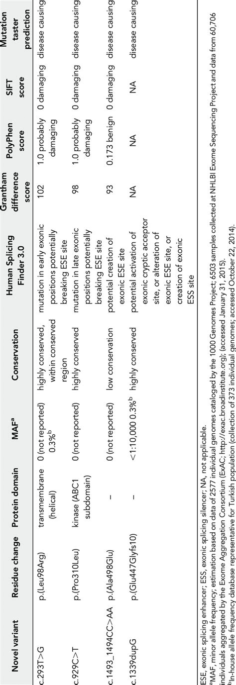 summary of bioinformatic analyses of the detected novel sequence