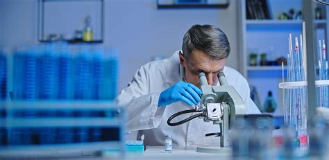 News Recruitment Notice Assistant Professor Tohoku University