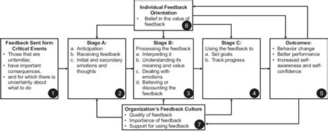 Longitudinal Feedback Process Based On London And Smither 2002