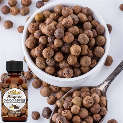 美國製 多香果精油 30ml 牙買加胡椒精油 甜胡椒 Allspice 蒸汽蒸餾 純單方精油 無添加 無稀釋 原裝 蝦皮購物