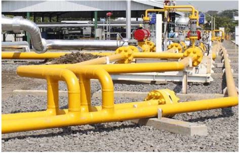 Magna Coatings Indonesia Id Diva Product