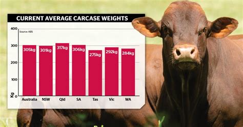Beef Carcase Weights Have Been On The Rise For 50 Years What Now