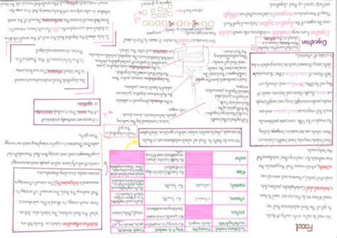 8a Food And Nutrition Poster Teaching Resources