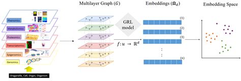 Using Artificial Intelligence To Understand The Living World IFPEN