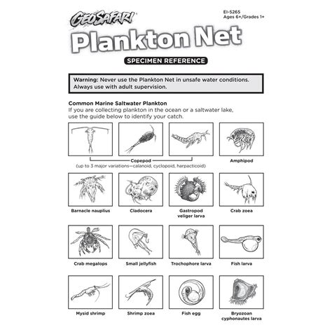 Marine Zooplankton Identification Guide