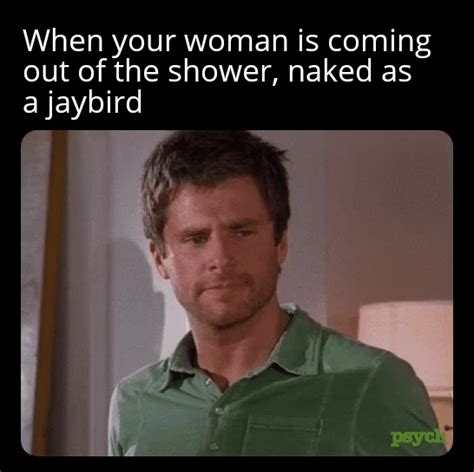 Cat Is A Euphemism Meme By Paddybardic Memedroid