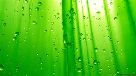 Raindrops Hd Wallpapers Wallpaper Cave