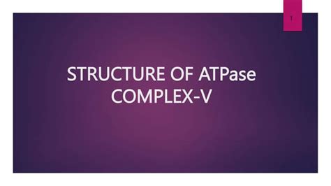 Atp Synthase Atp Synthase Complex 1 To 4 Pptx