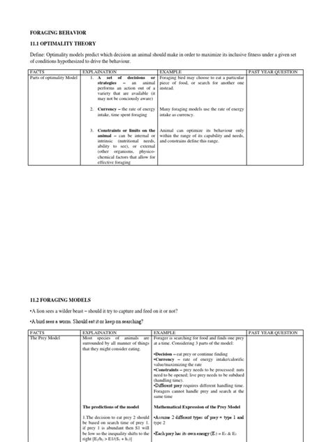 Foraging Behavior 111 Optimality Theory Pdf Foraging Fungus