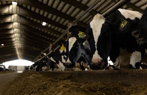 Take Steps Now To Make A Biosecurity Action Plan