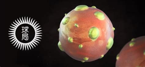 西安爆发的出血热，究竟是一种什么病？｜地球知识局 知乎