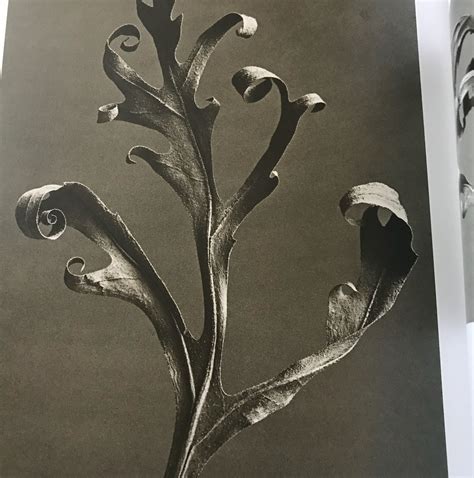 Brooke Gregson Jewelry Home Facebook