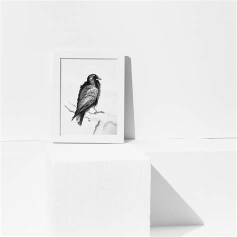 עורב ציור מקורי בצבעי מים אנה רדיס Anna Radis